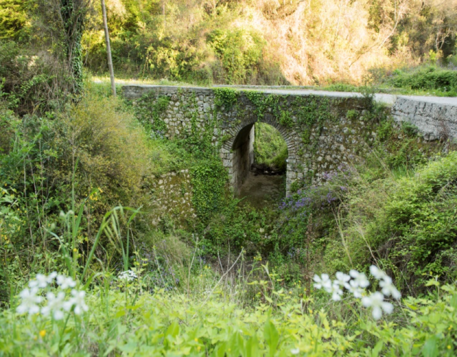 AFRA - Visit Corfu